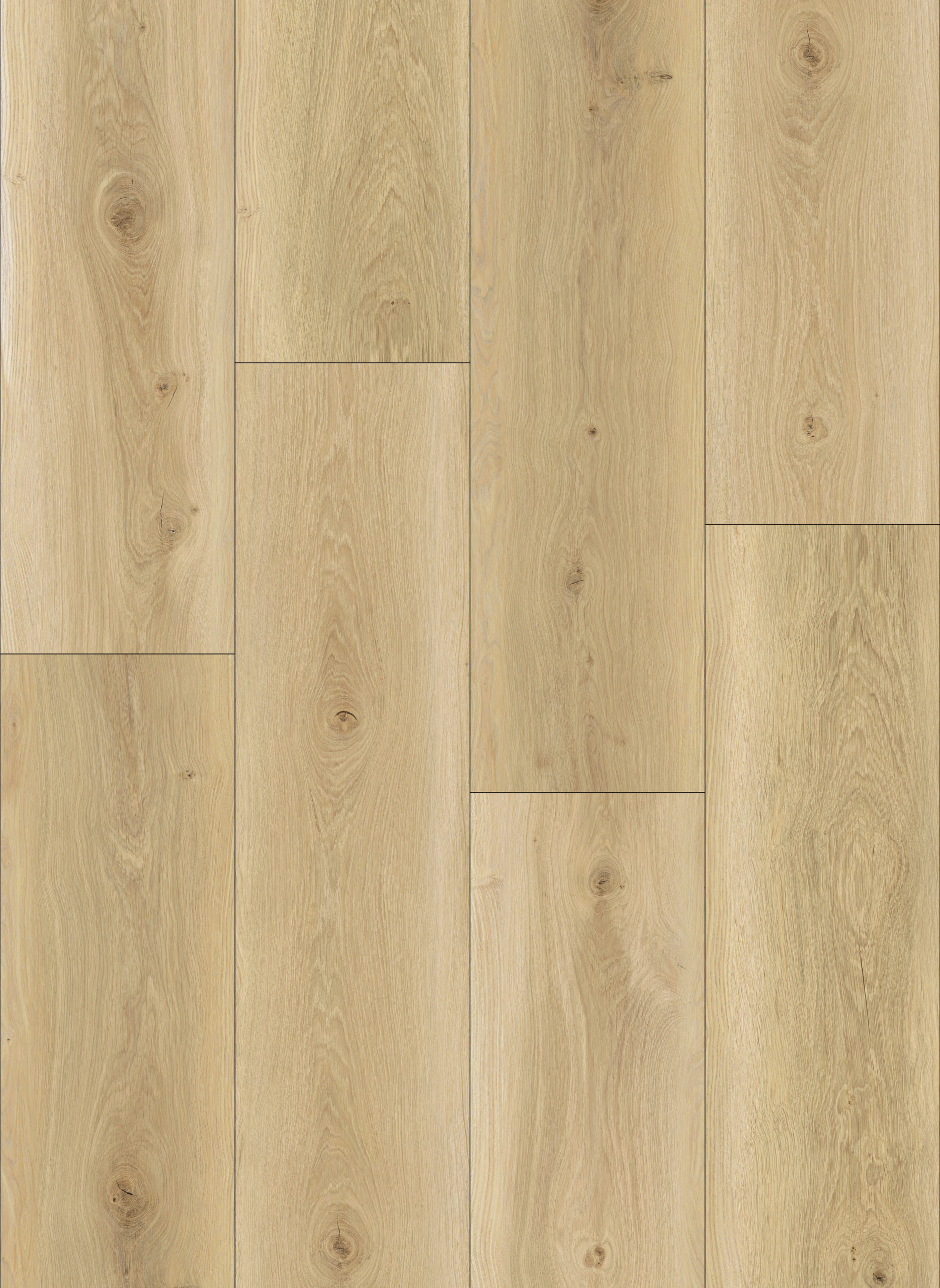 Desert Oak - Golden Wooden - Auckland Flooring