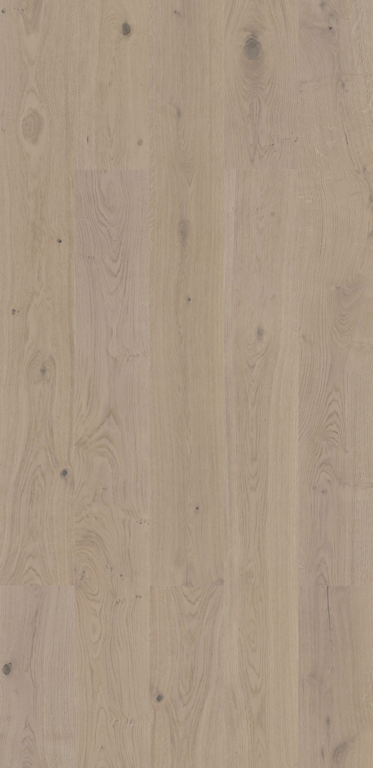 Latte Luxury - Golden Wooden - Auckland Flooring